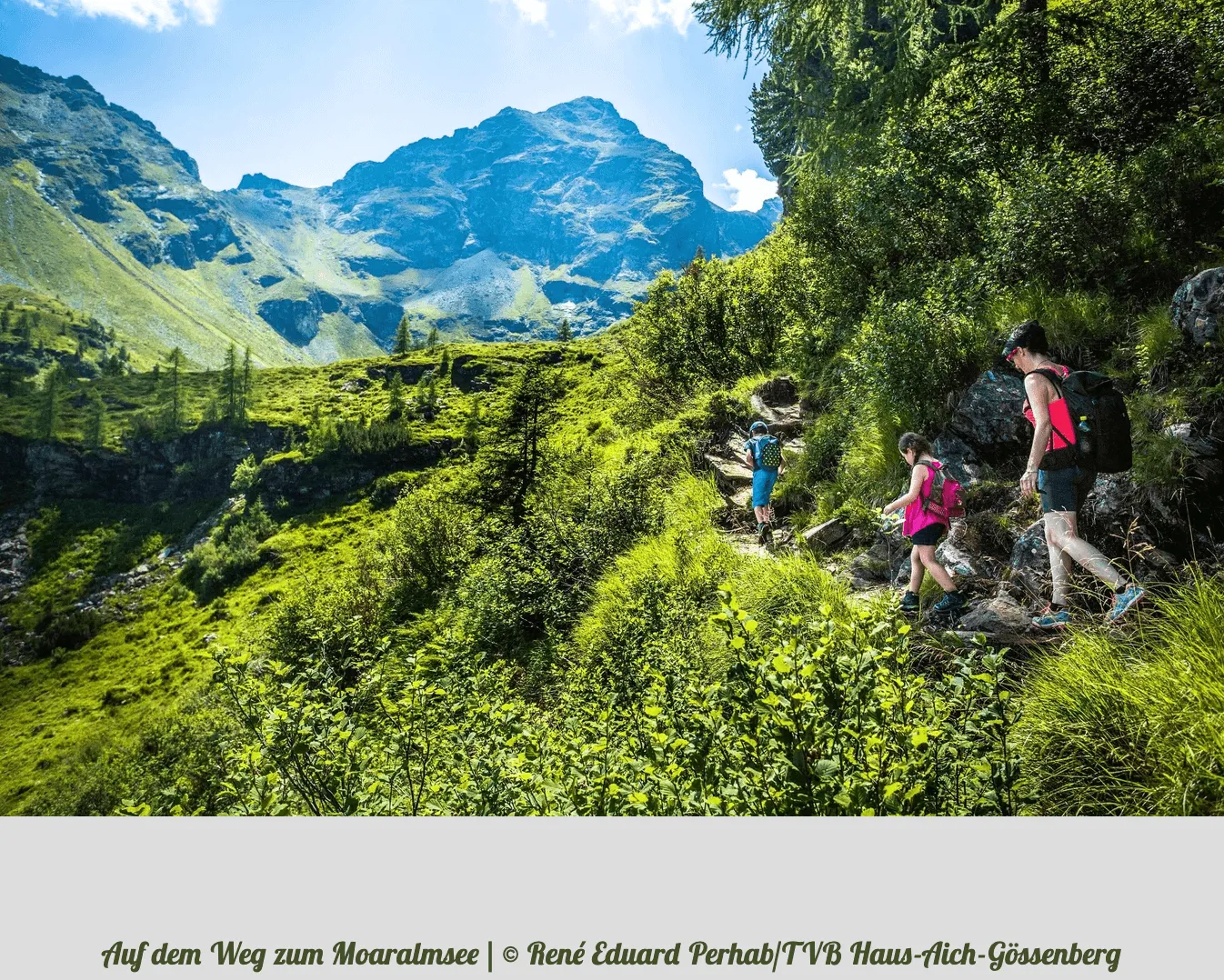 Sommerferie i Schladming for naturelskere - Oplev ro og smuk natur